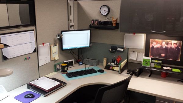 Working in a Cubicle - Everything You Need to Know