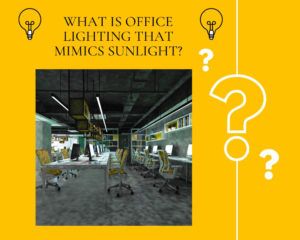 What is Office Lighting that Mimics Sunlight? - Workspace Bliss