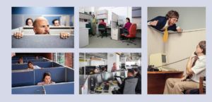 Working in a Cubicle - Everything You Need to Know