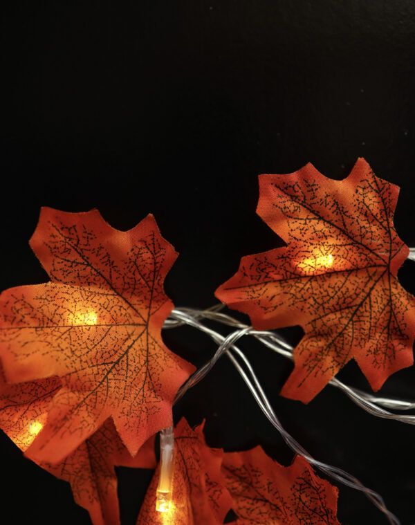 19 Fall Desk Decor Ideas for Cozy Autumn Vibes in Your Workspace